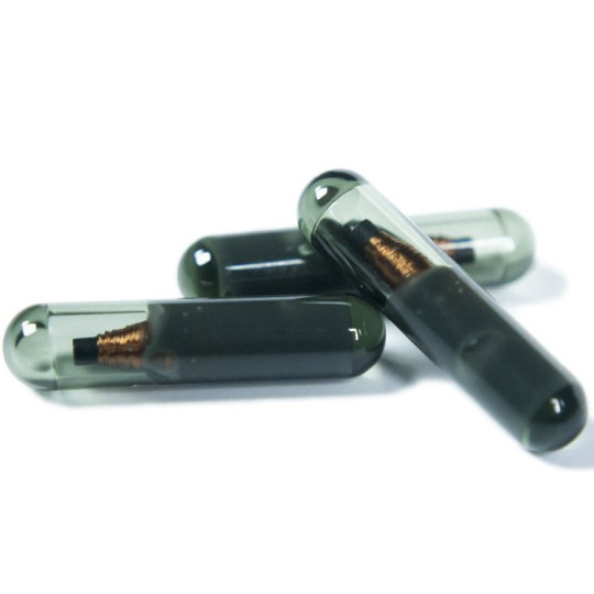 GKM-Transpondeur Keyline ID48 pour MINI884 et BI884 - KEYFIRST